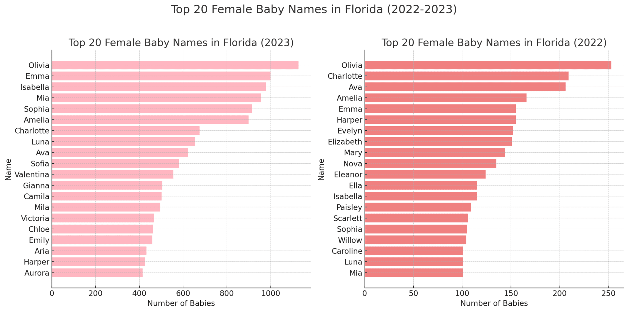 Florida's Favorite Baby Names of 2023: A Look At The Winners - Dr ...